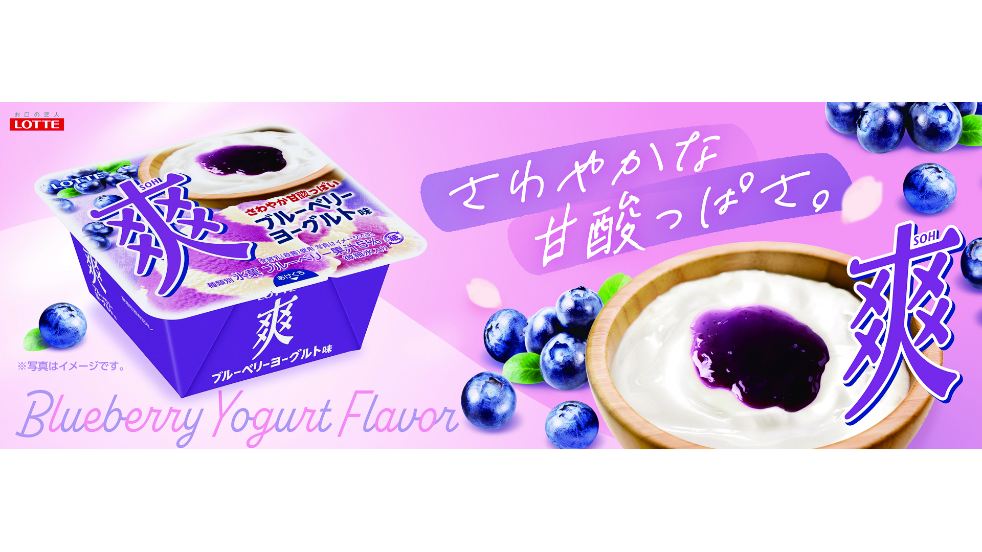 ロッテ「爽」、伝説のフレーバー「ブルーベリーヨーグルト味」が復活！ - グルメ Watch